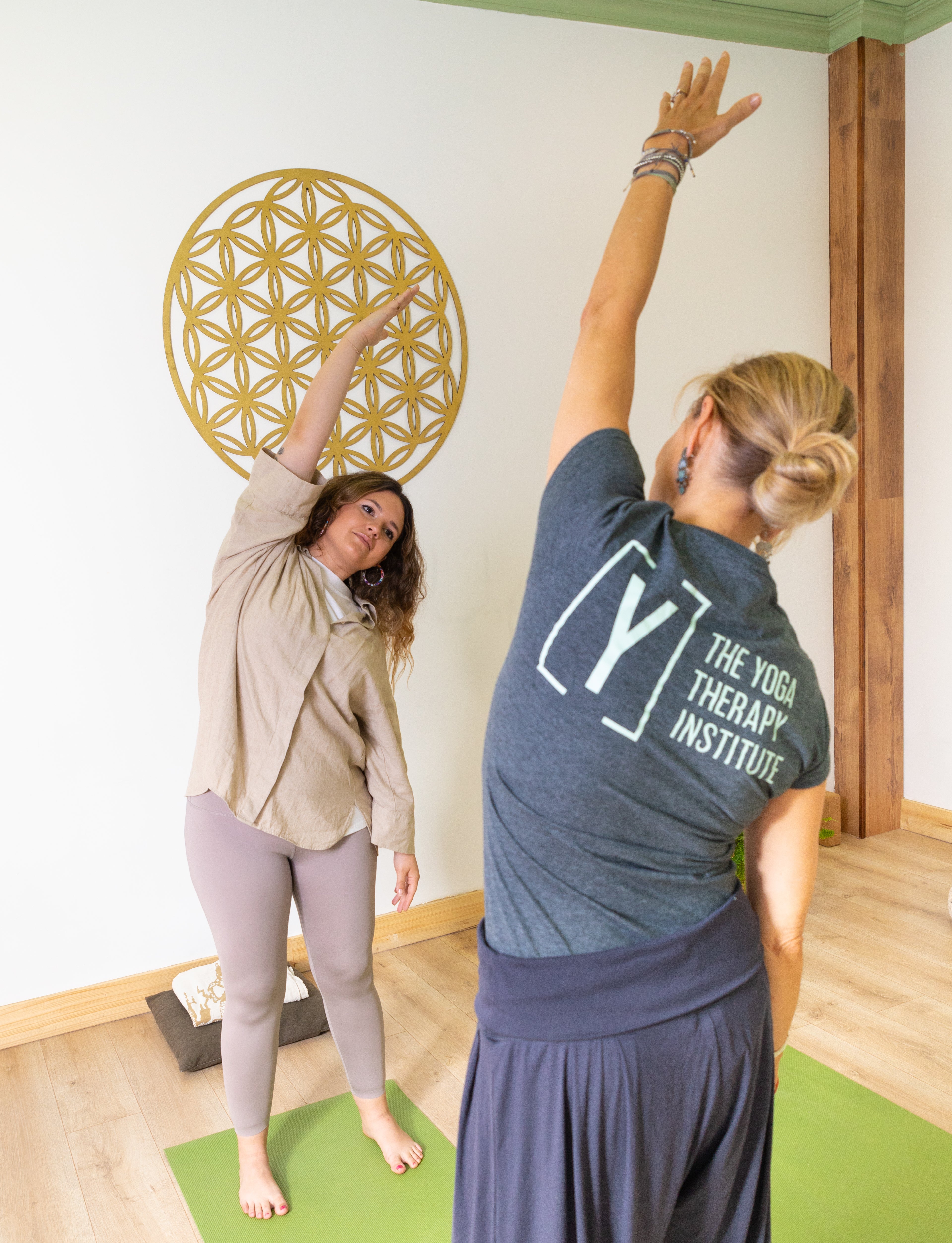 What is Yoga Therapy? - The Yoga Therapy Institute