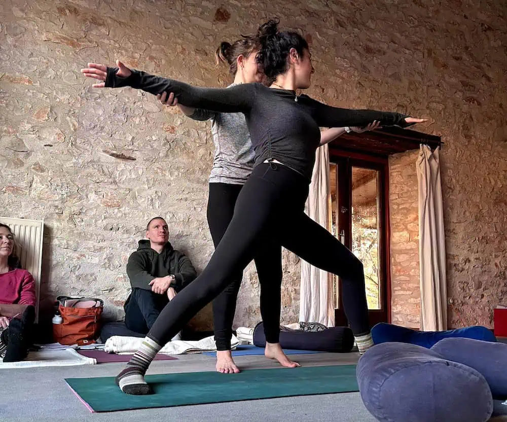 RYT 200 Teacher Training - The Yoga Therapy Institute